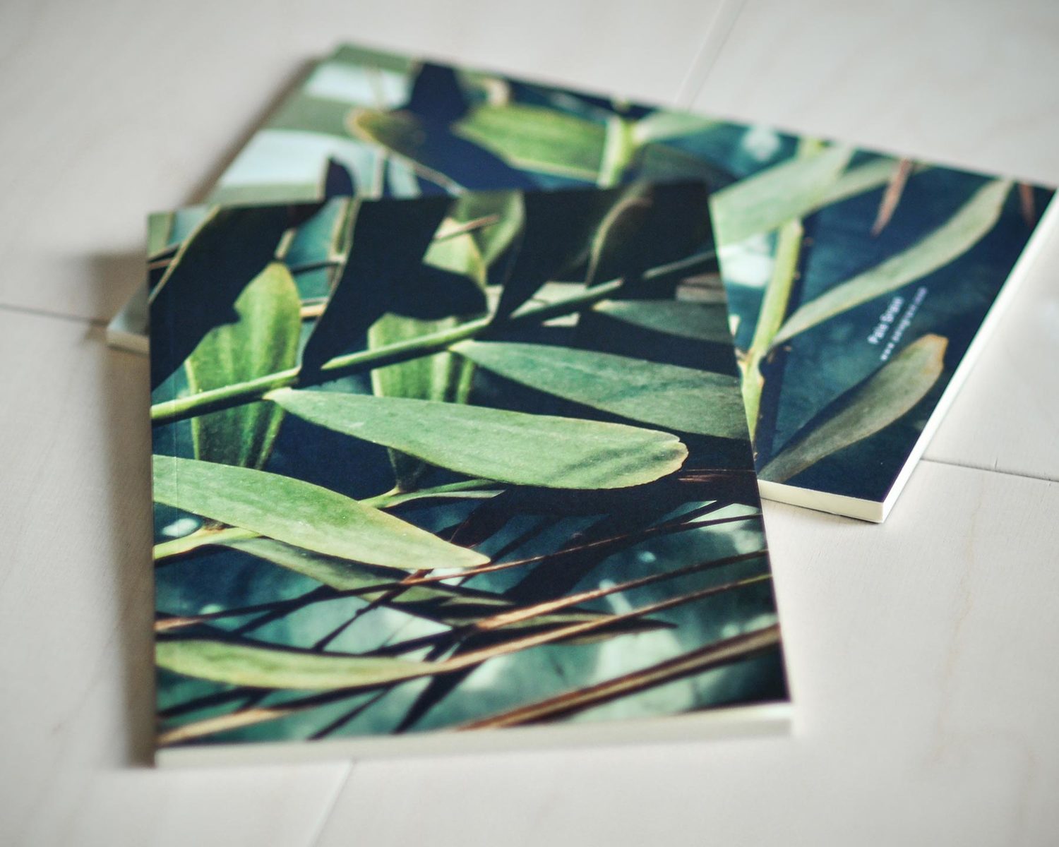 Notebooks Nr. I - X - ELABA